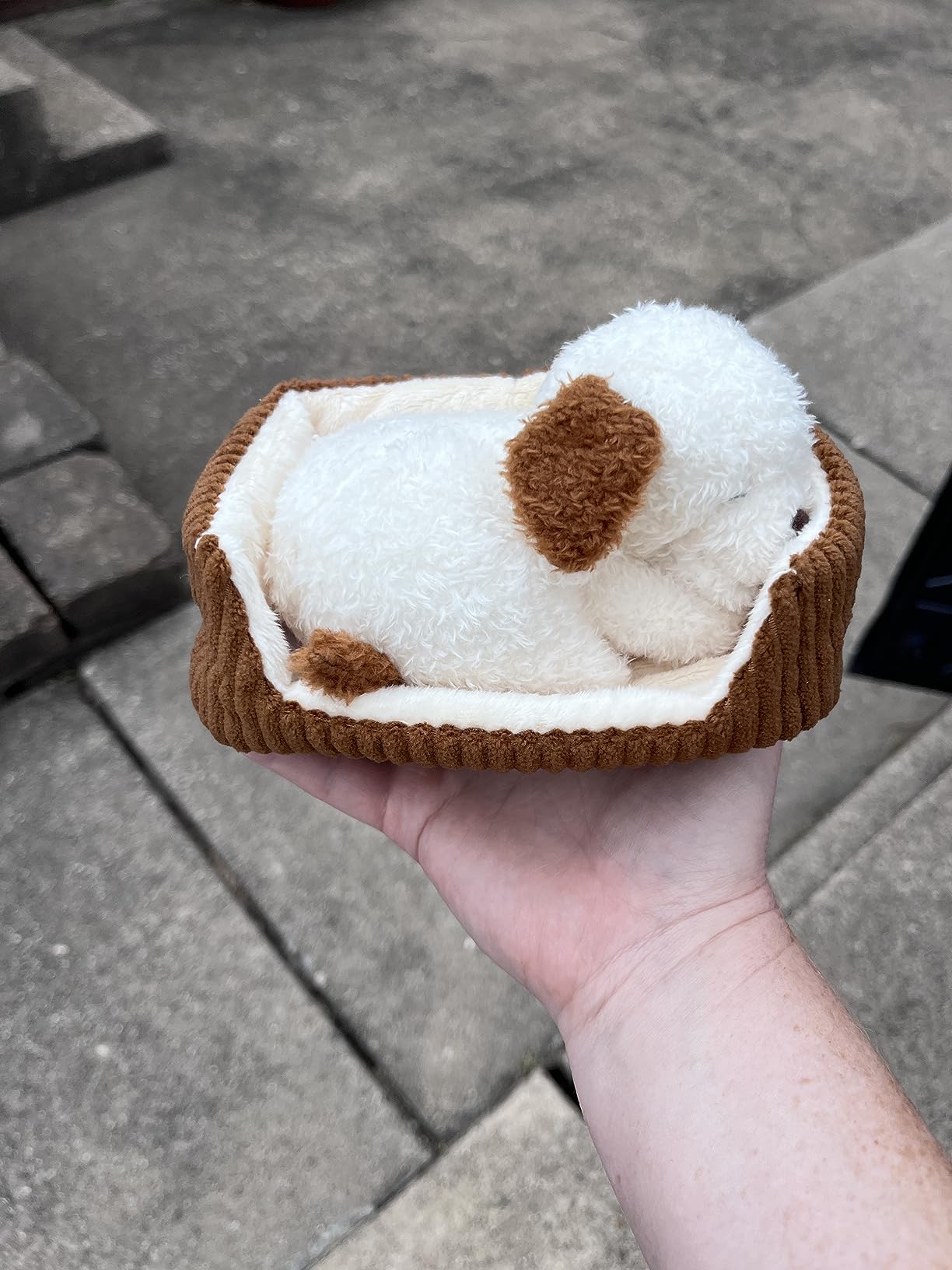 Amazon.com: Jellycat Napping Nipper Dog with Bed Stuffed Animal, 6 ...