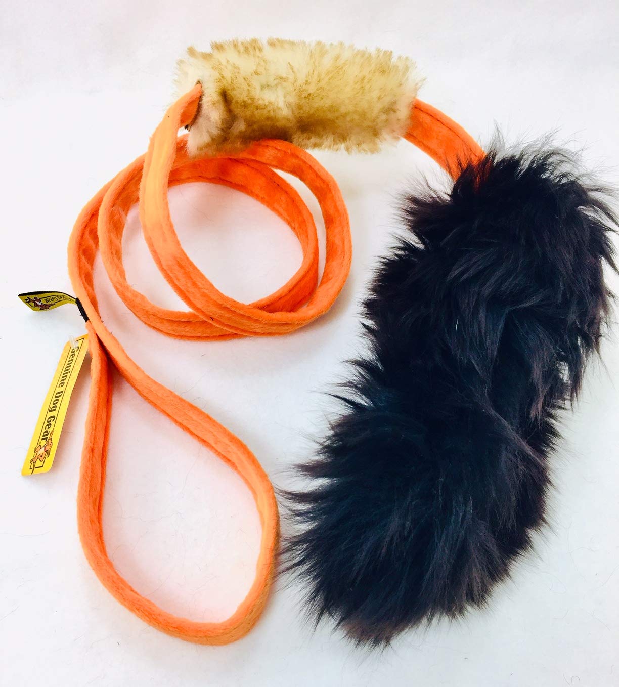 Pet Supplies : Genuine Dog Gear Drag Racer S.A.R. Motivator WE Pick ...