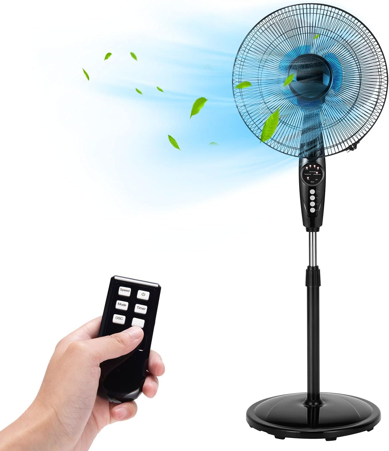 Amazon.com: HOLMES 16" Digital Stand Fan, 80° Oscillation, 3 Speeds, 3 ...