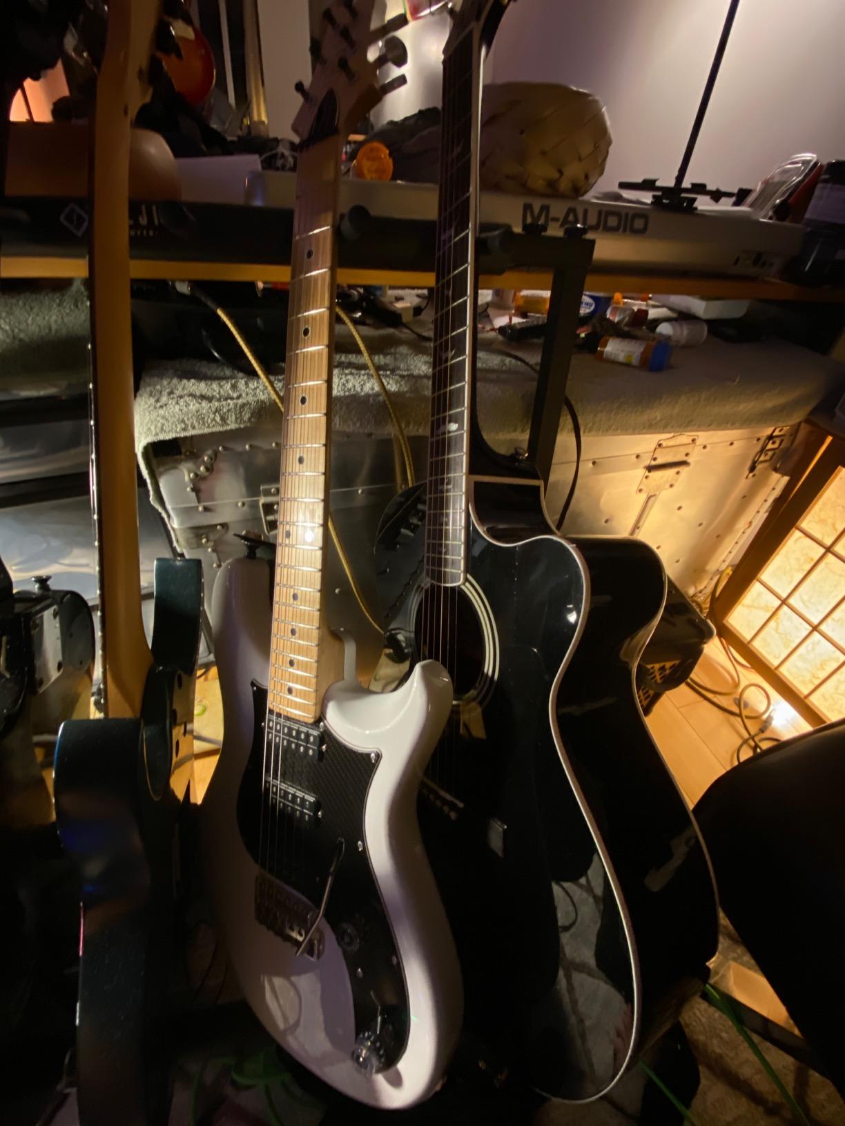 Amazon.com: PRS Guitars Arm for PRS Patented Tremolo Private Stock/Core ...