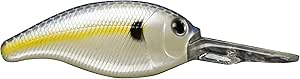 Amazon.com : Matzuo Fukia Shad Crankbait (Sexy Shad, 2 1/2-Inch ...