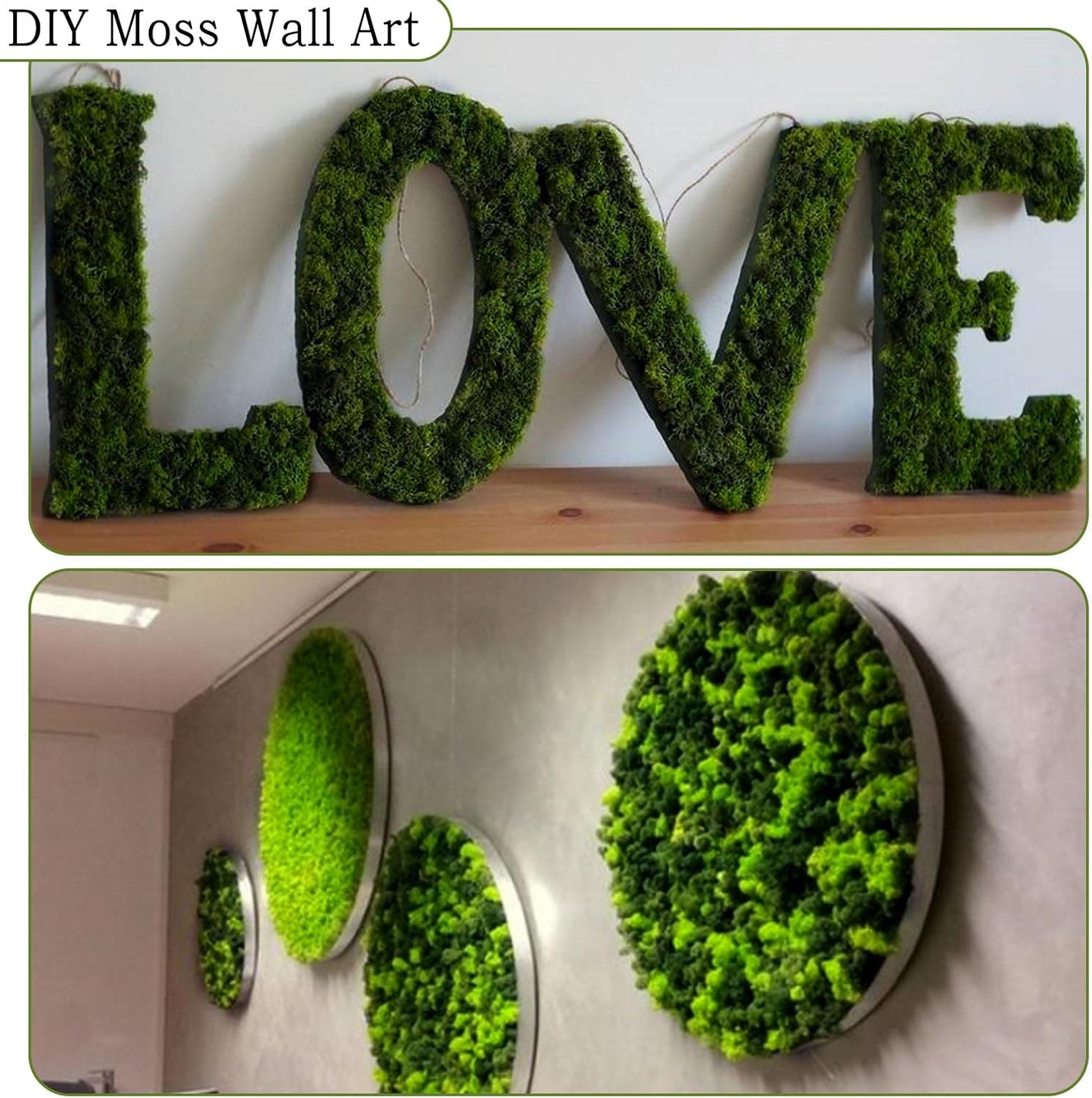 Buy 0.85lb Preserved Moss for Potted Plants, Natural Fresh Green ...