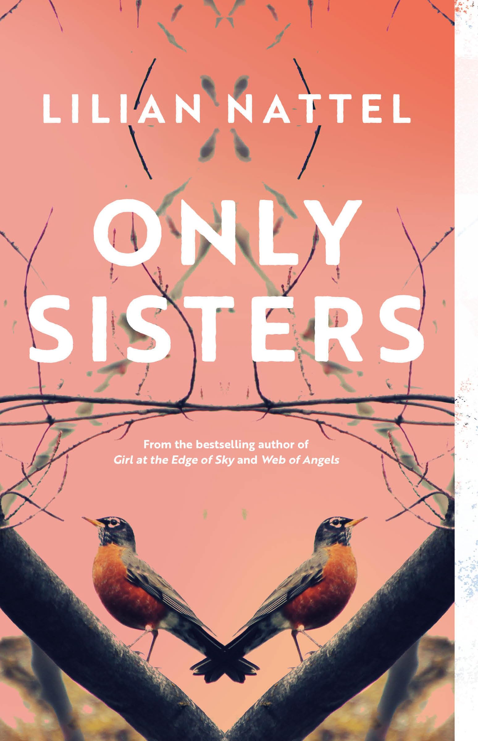 Only Sisters: Nattel, Lilian: 9780735277069: Amazon.com: Books