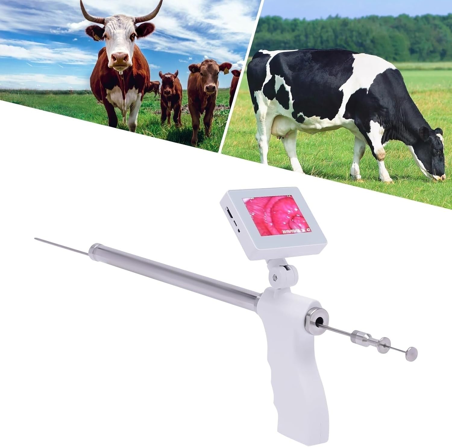 cattle visual insemination gun Insemination Kit for Australia | Ubuy