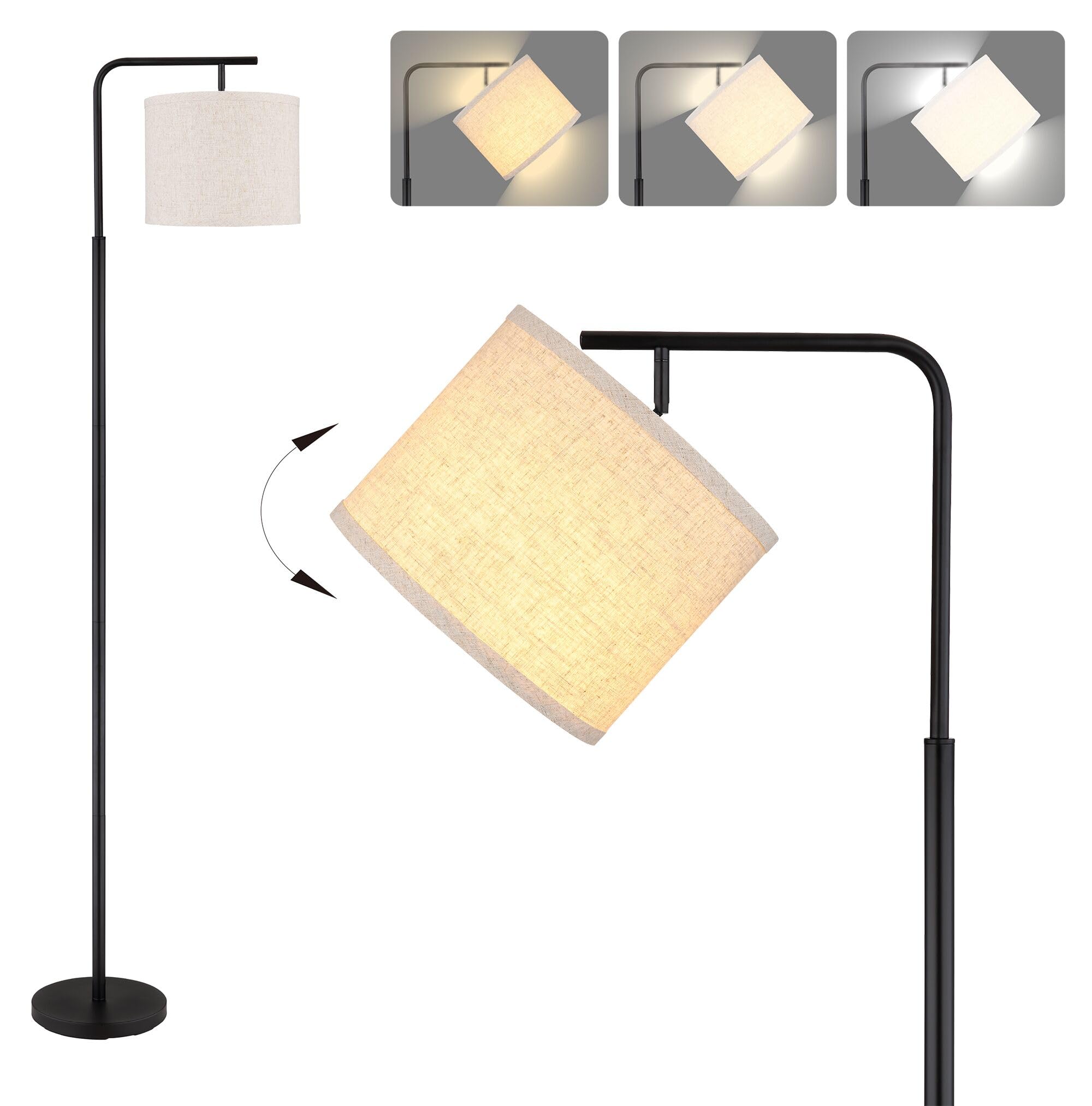 Ruiever Floor Lamp for Living Room with 3 Color Temperatures,Modern ...