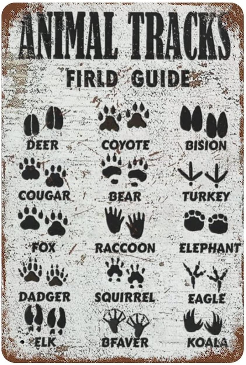 Amazon.com: Animal Track Signs Woodland Nursery Decor Field Guide Metal ...