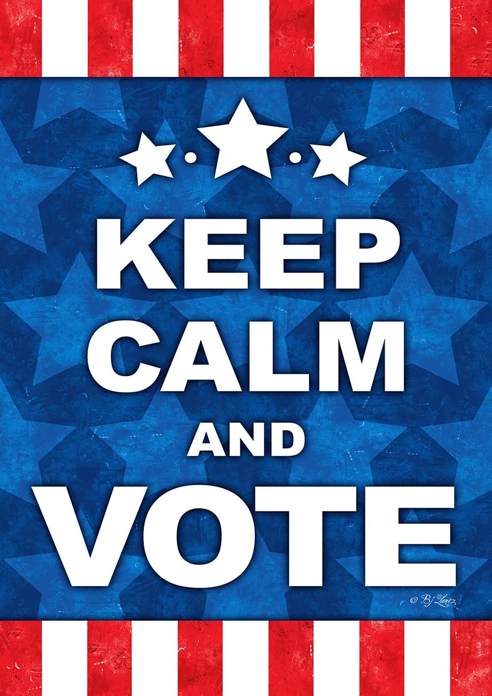 Amazon.com : Toland Home Garden 1110765 Keep Calm and Vote Political ...
