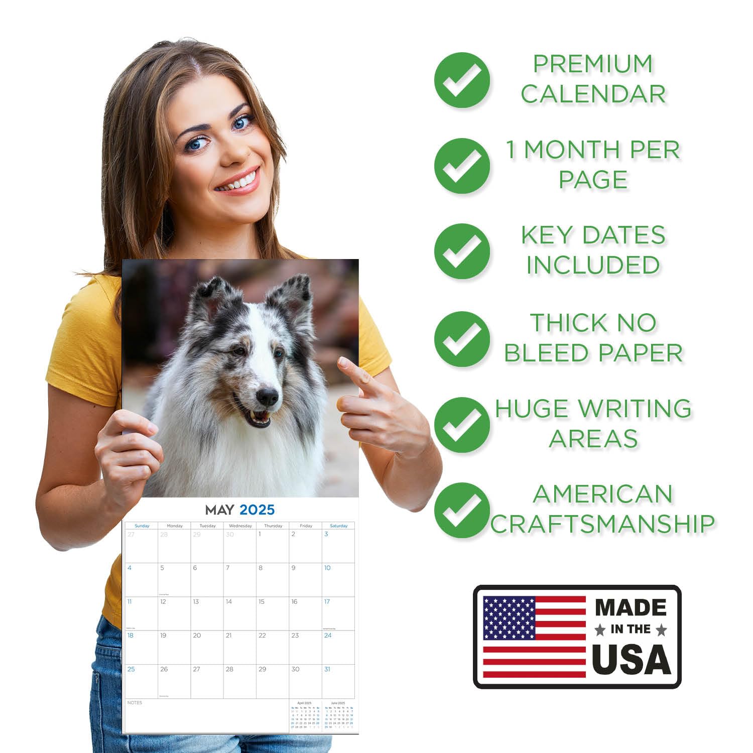 Snapklik.com : 2025 Shetland Sheepdog Calendar - Dog Breed Wall ...