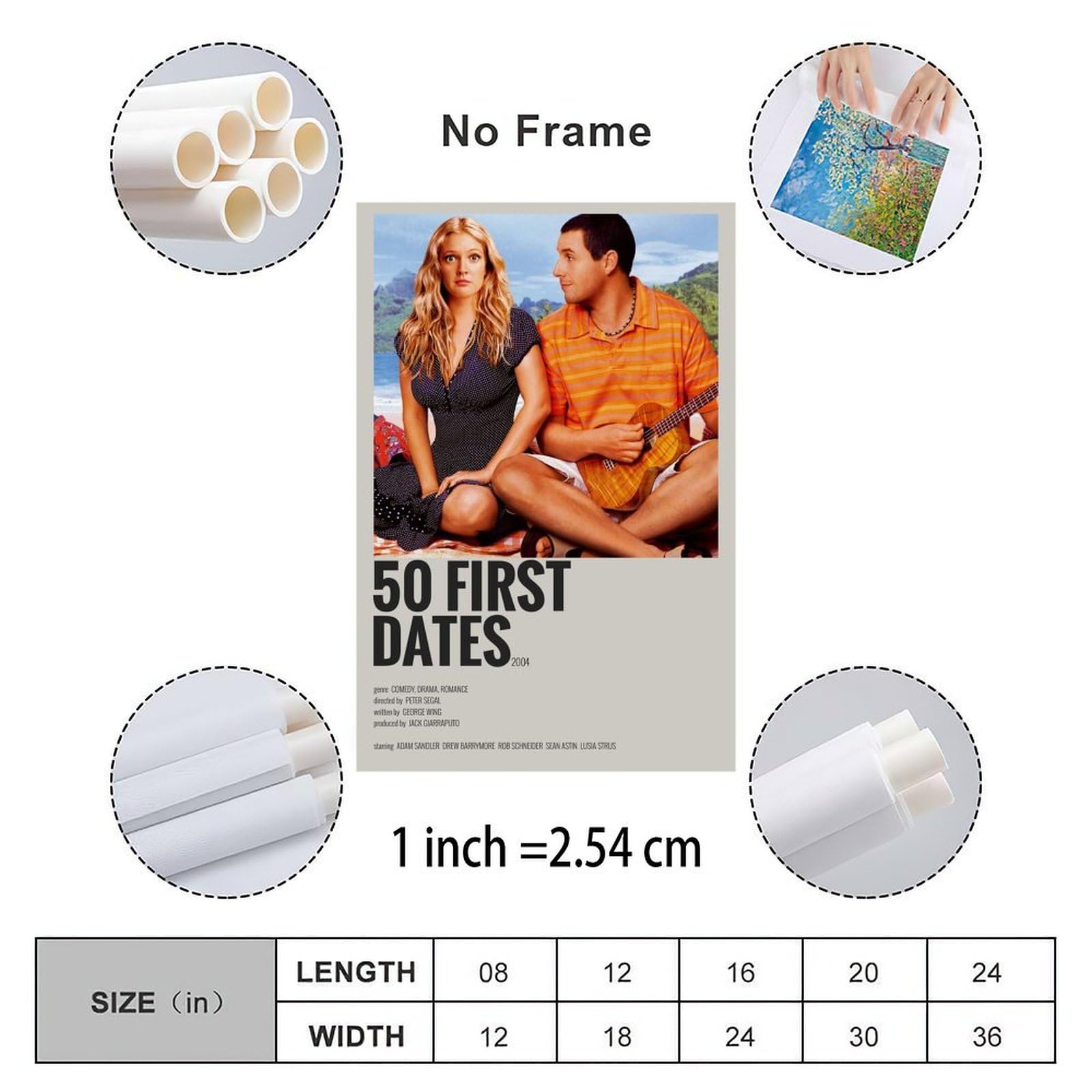 50 First Dates Movie Poster