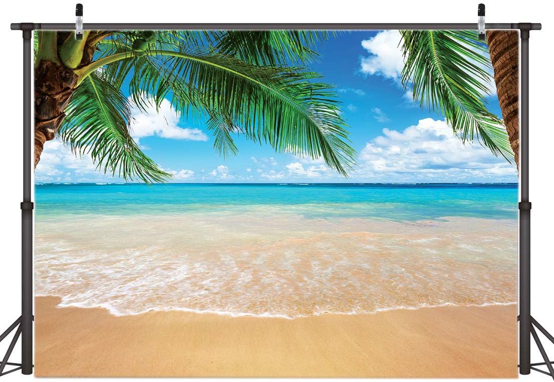 AIIKES 8x6FT Summer Seascape Backdrop Tropical Beach Photography ...