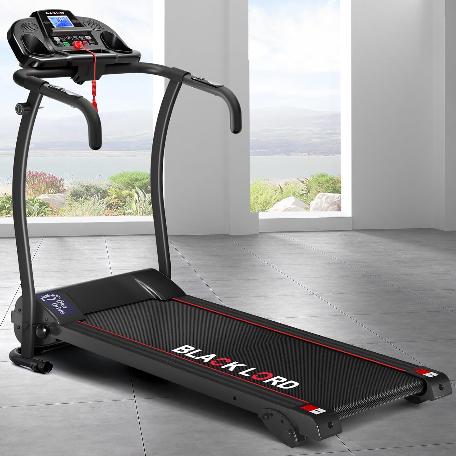 BLACK LORD Foldable Treadmill Running Machine 2.2HP, Electric Fitness ...