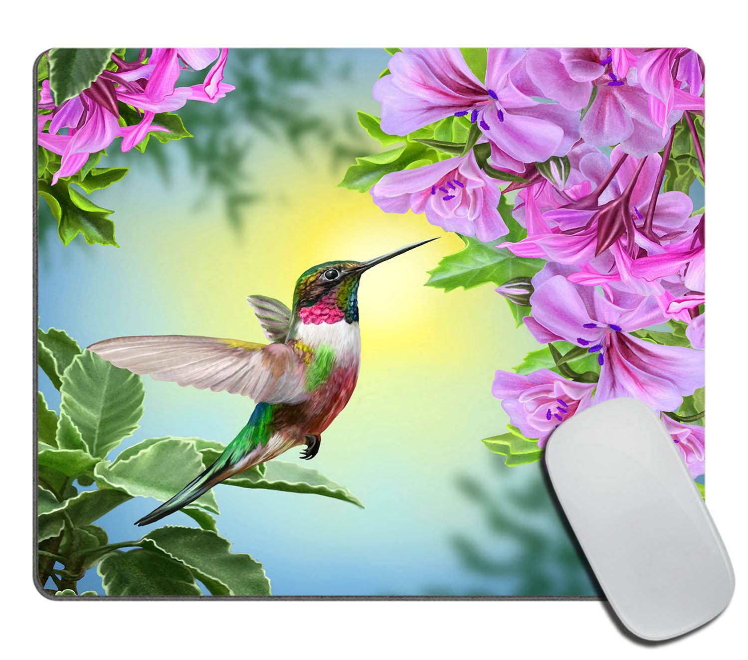Amazon.com: Small Mouse Pad 7.9 x 9.5 Inch, Bird Hummingbird with Pink ...