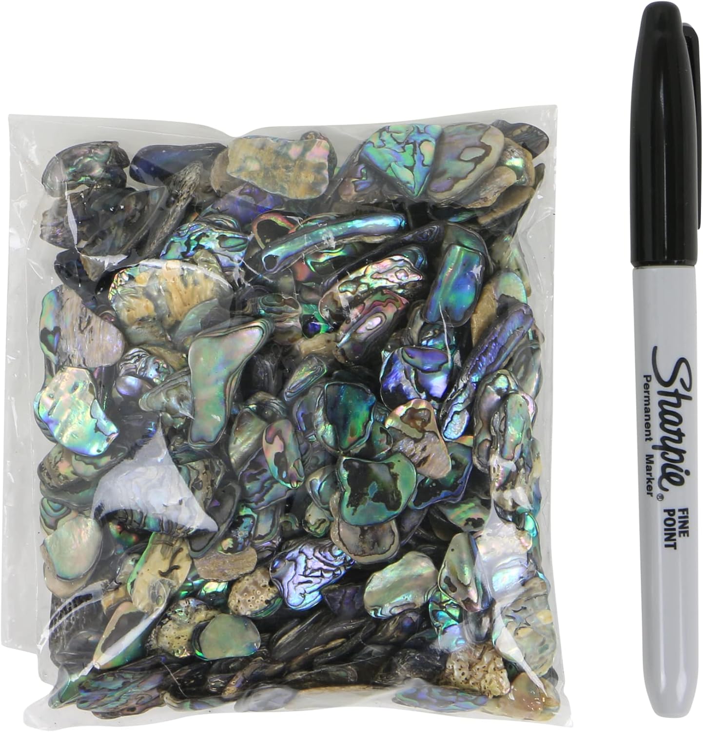 Amazon.com: Abalone (Pāua) Shell Pieces for Crafts, Jewelry Making ...