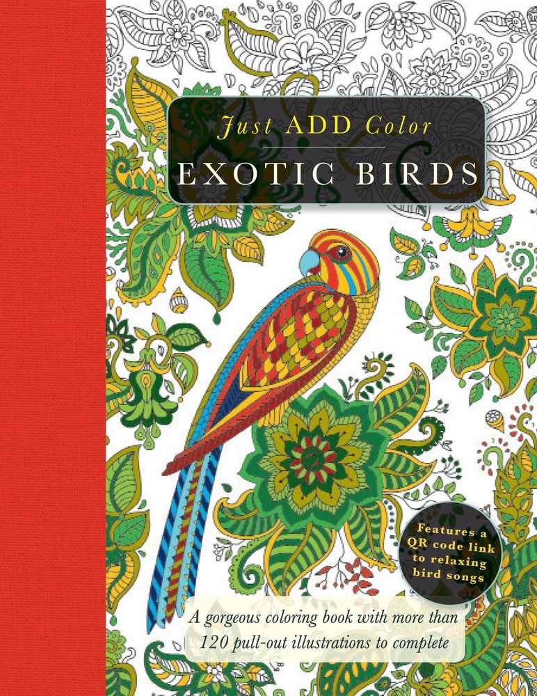 Amazon.com: Exotic Birds: Gorgeous Coloring Books With More Than 120 ...