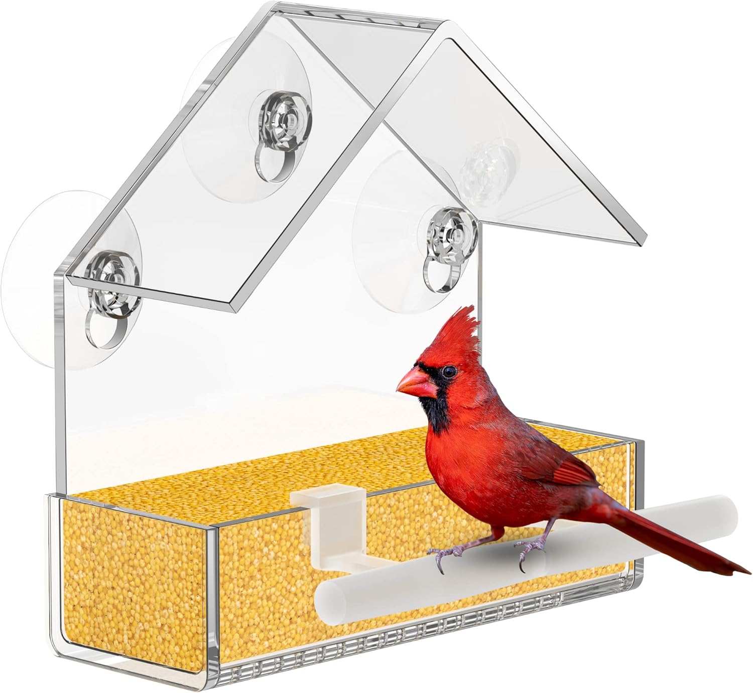 Amazon.com : BPYOT Acrylic Window Bird Feeder with 3 Suction Cups for ...