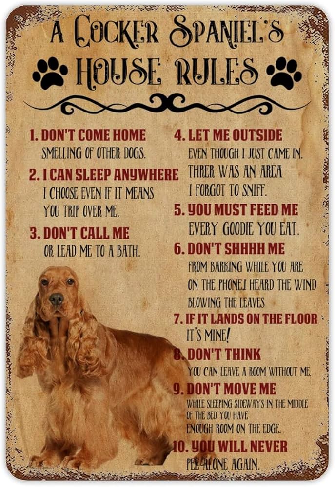 Memes De Cockers Funny Cocker Spaniel Dog Valentines Day T Shirt