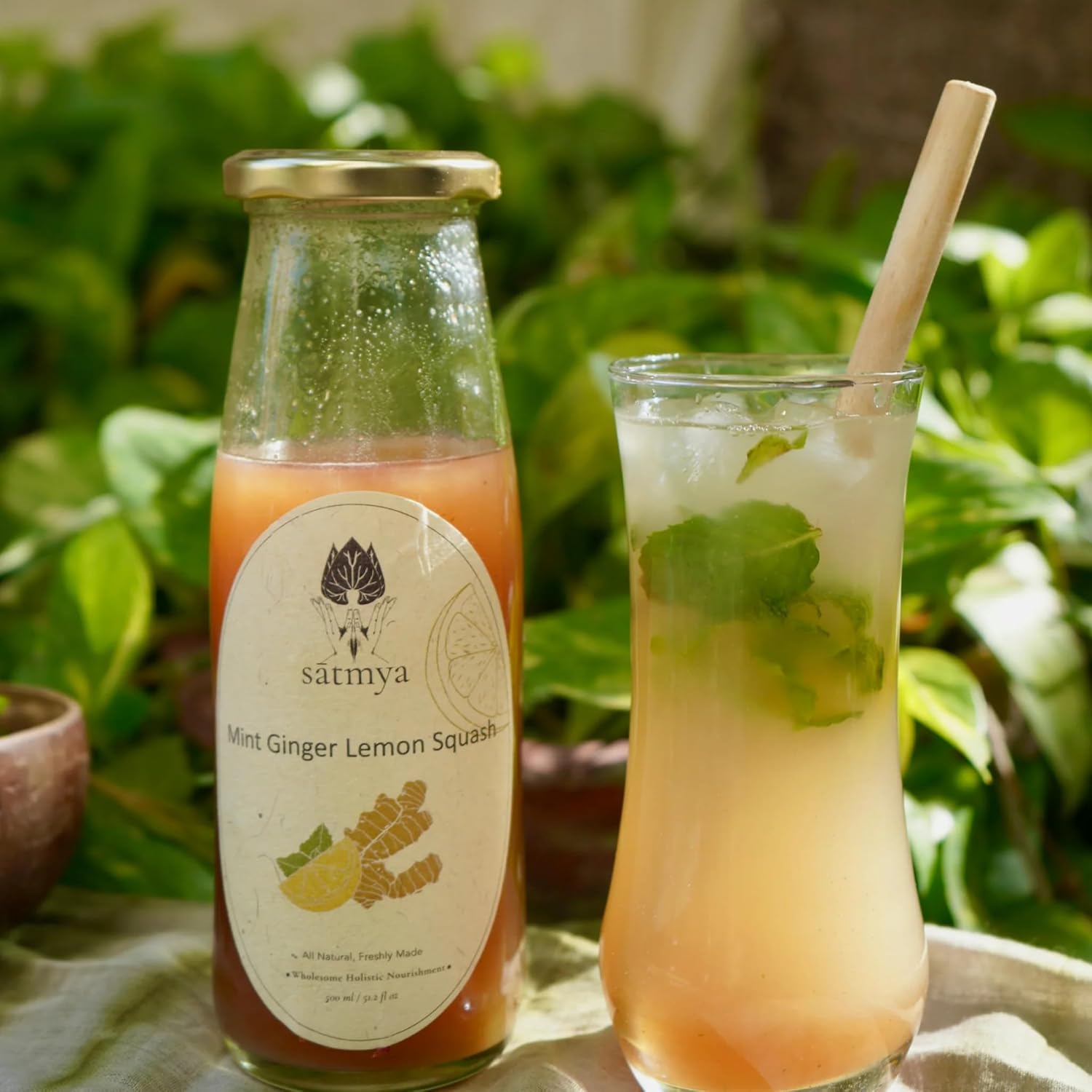 Sātmya Mint Ginger Lemon Squash 600ml - Refreshing Blend for Instant ...