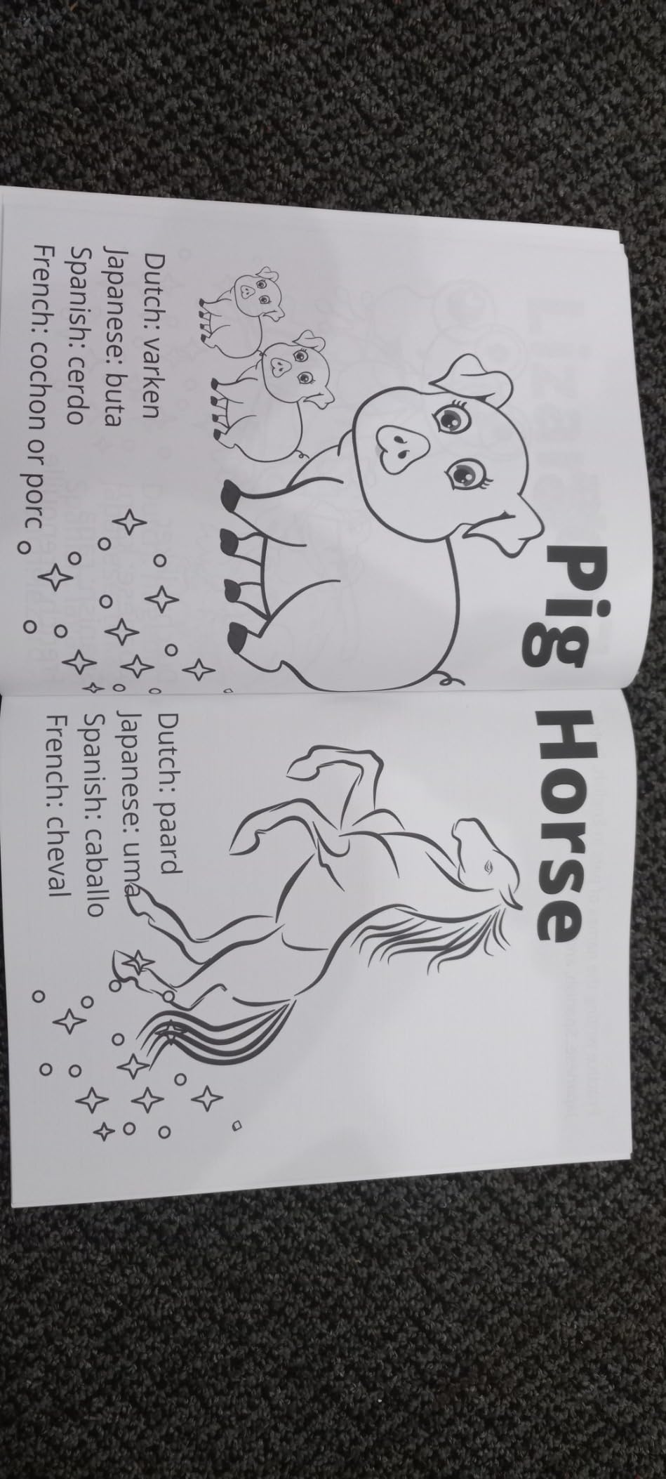 Language Coloring Book: Language Activity Book (Bilingual Coloring ...