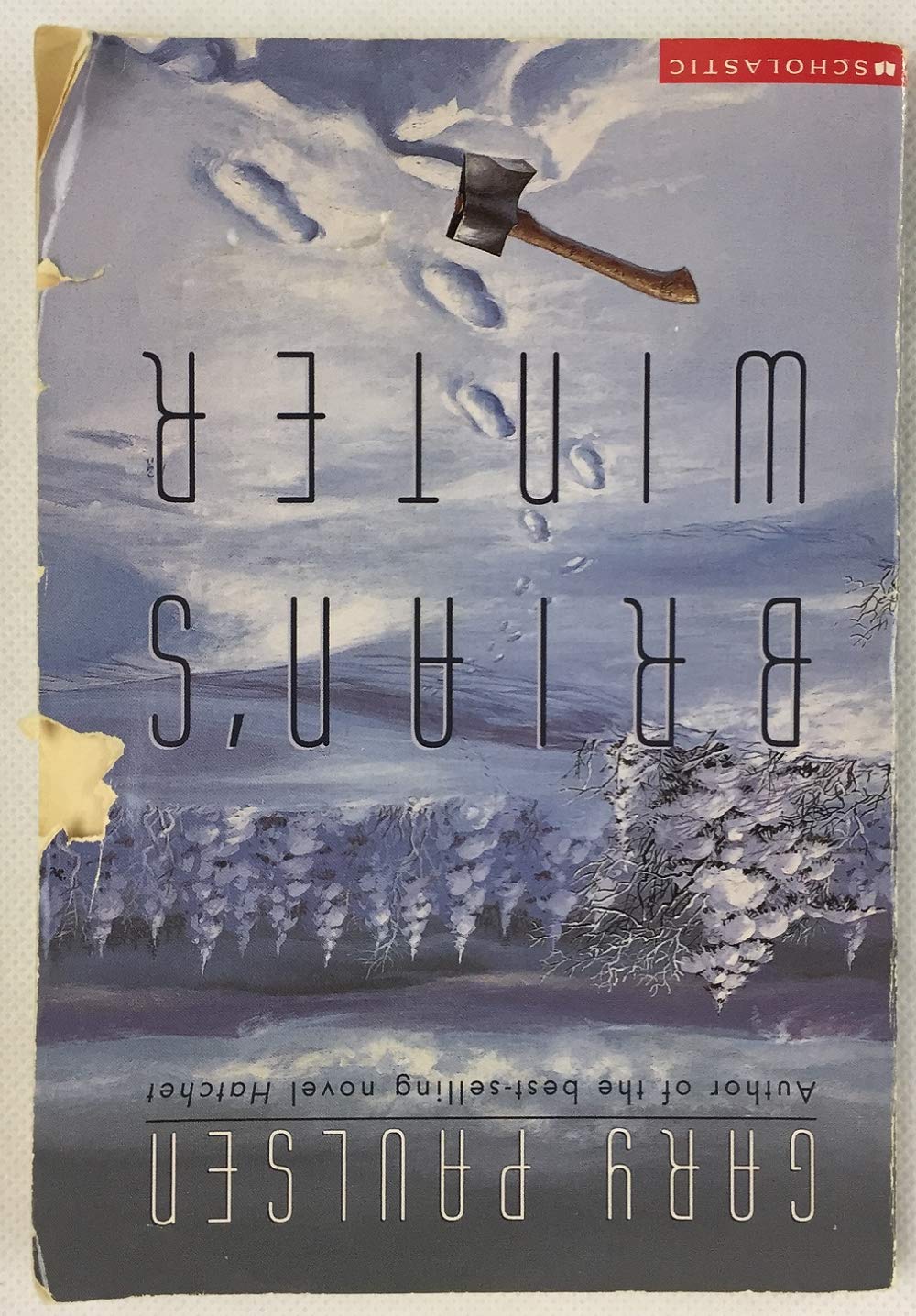 Brian's Winter: Gary Paulsen: 9780590690133: Amazon.com: Books