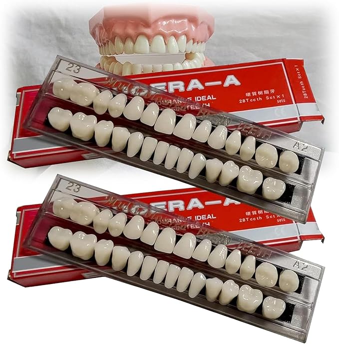 Amazon.com: MTTXY 2Set Dental Synthetic Resin Tooth Denture False Teeth ...