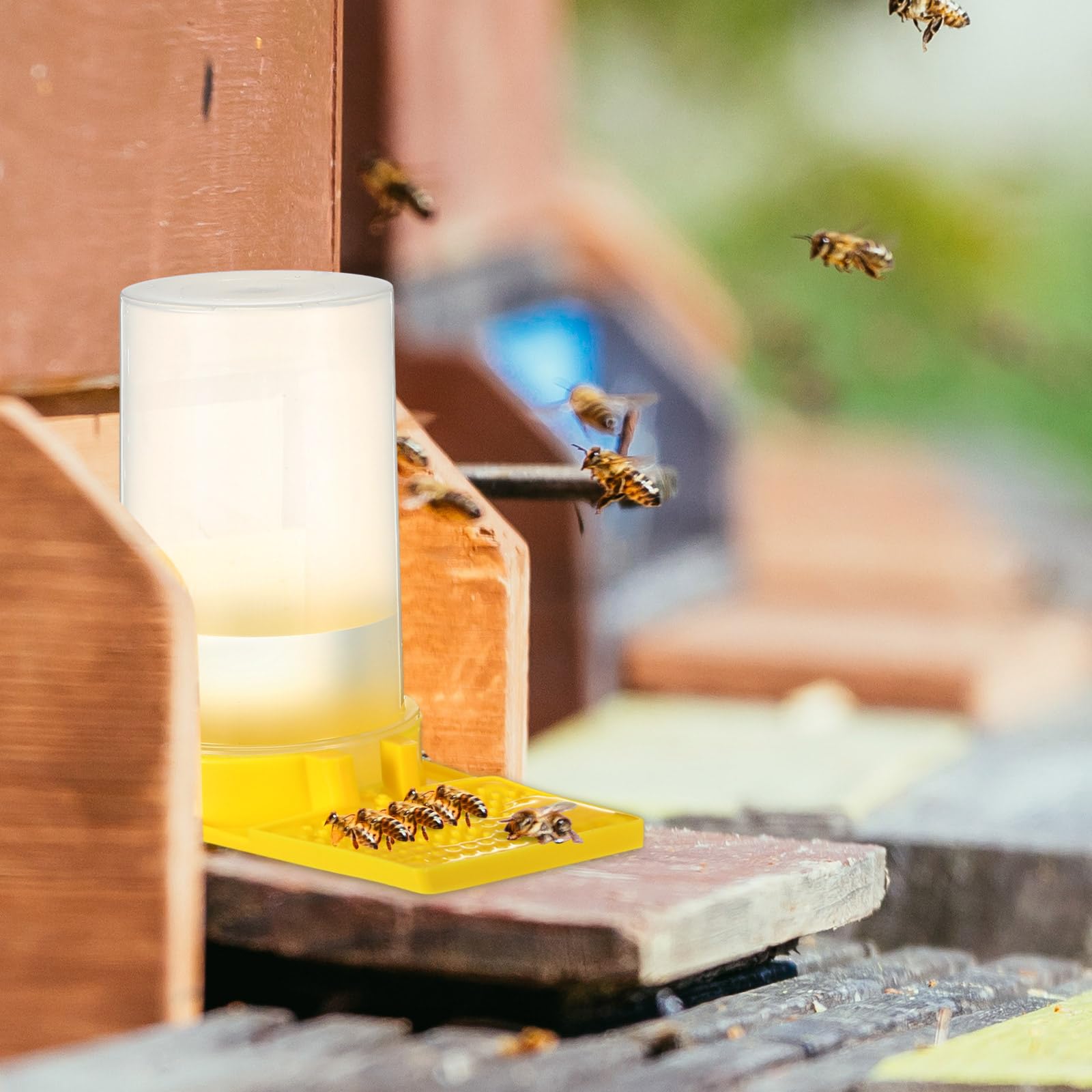 Snapklik.com : 12 Pack Bee Water Feeder Beehive Beekeeping Honeybee ...