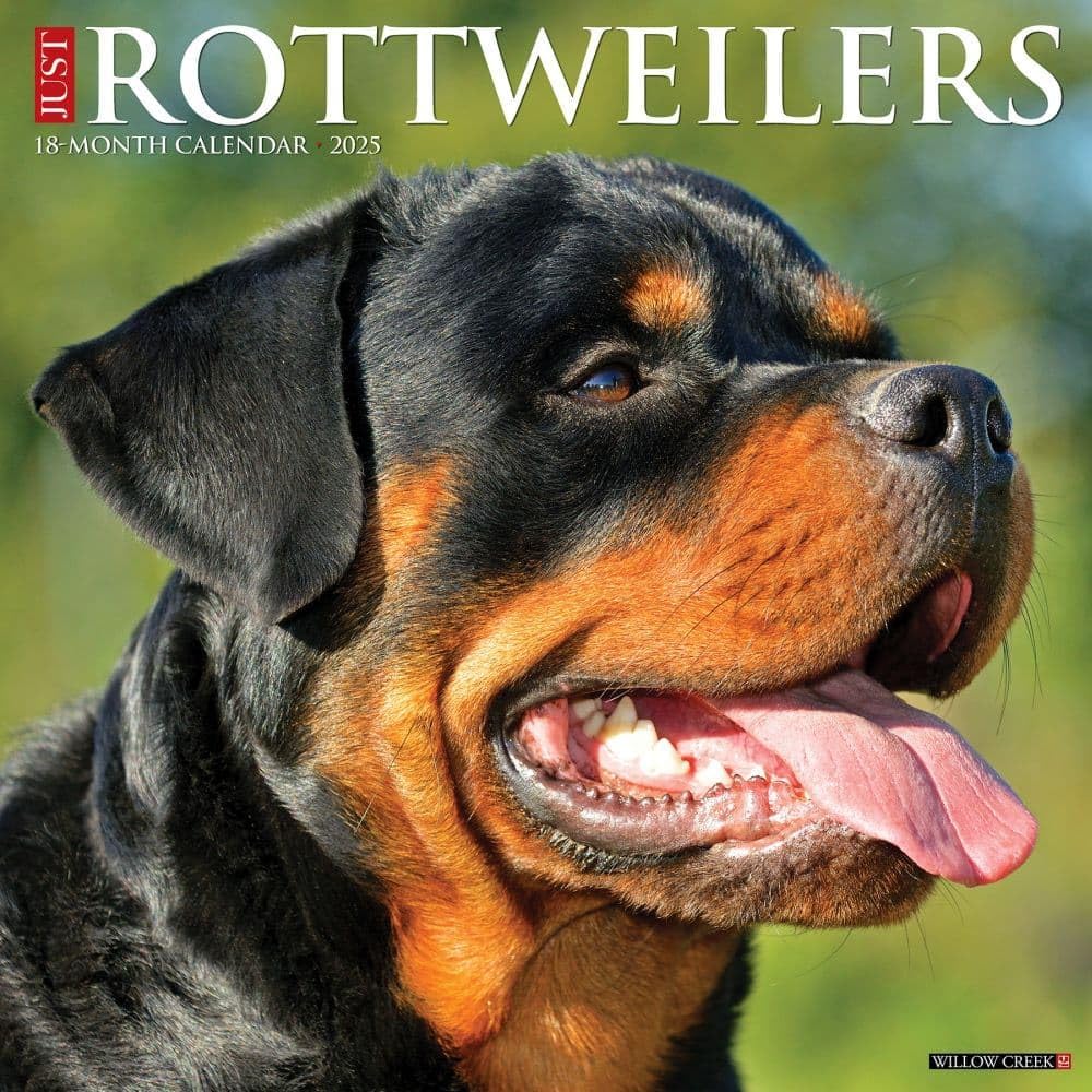 Amazon.com: Willow Creek Press Calendars, Rottweilers Just 2025 Wall Calendar : Willow Creek ...