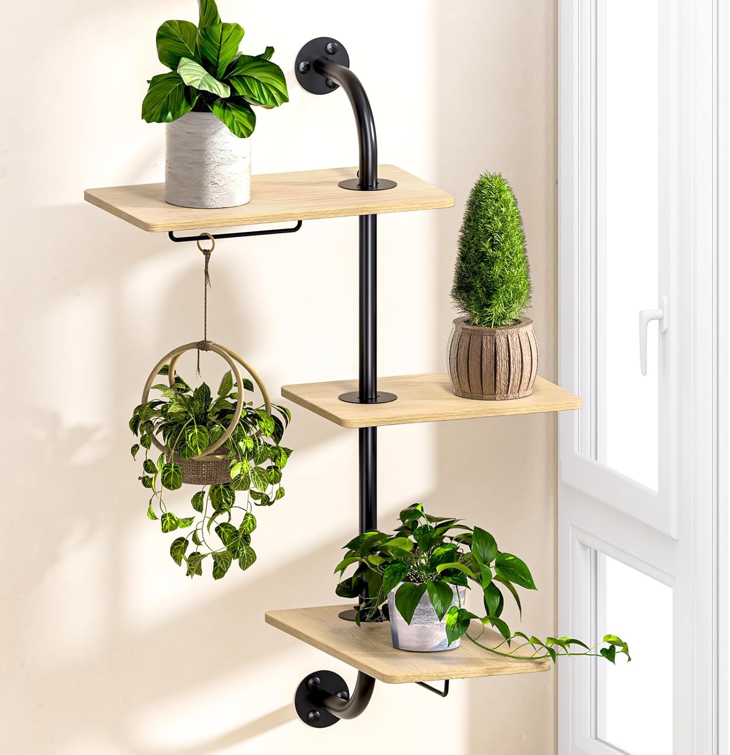 Amazon.com : SS Rotating Window Plant Shelves Indoor, 3-Tier Wall Plant ...