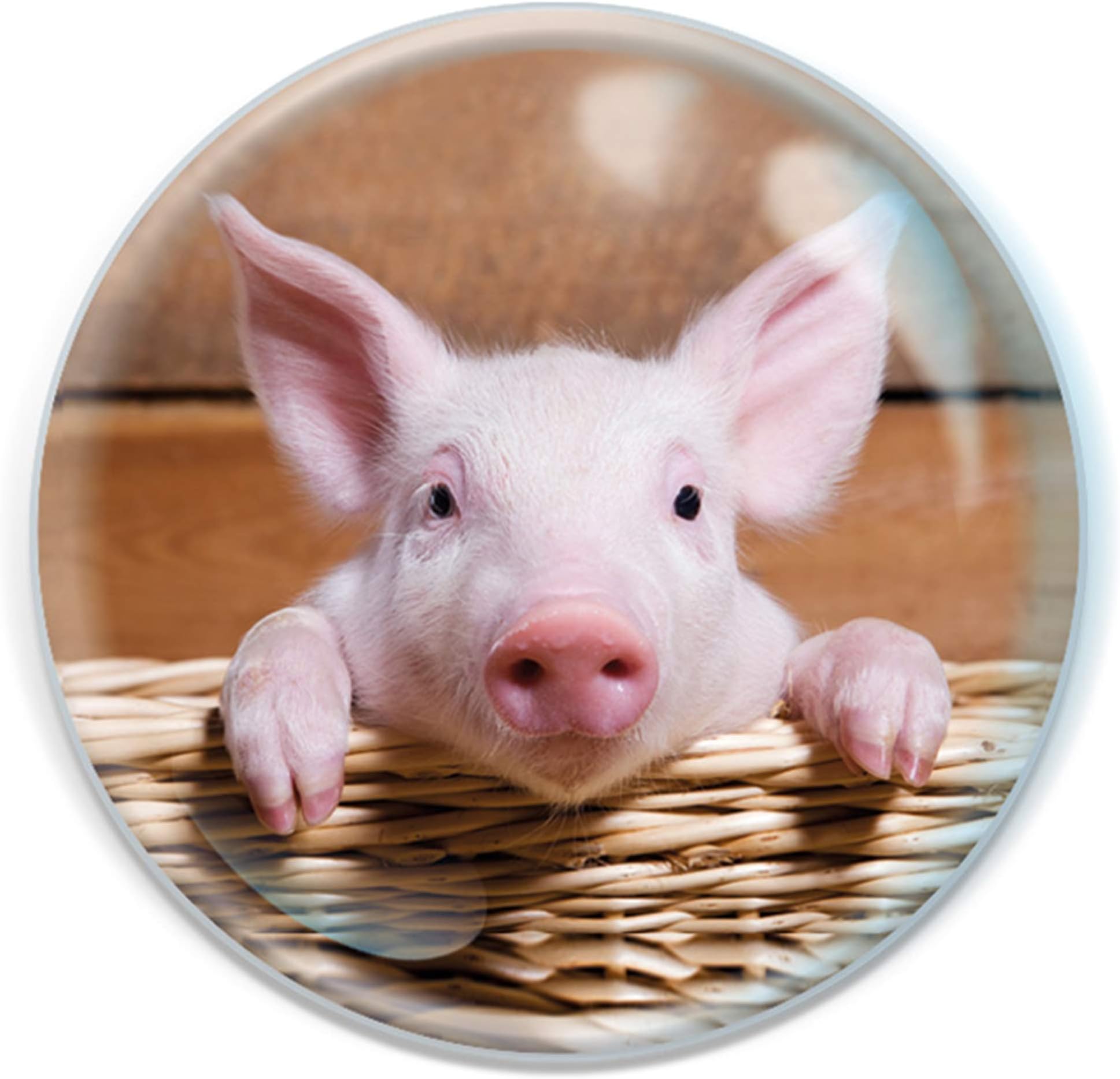 Amazon.com: Handpainted Pink Pig Refrigerator Magnet: Head Sculptures ...