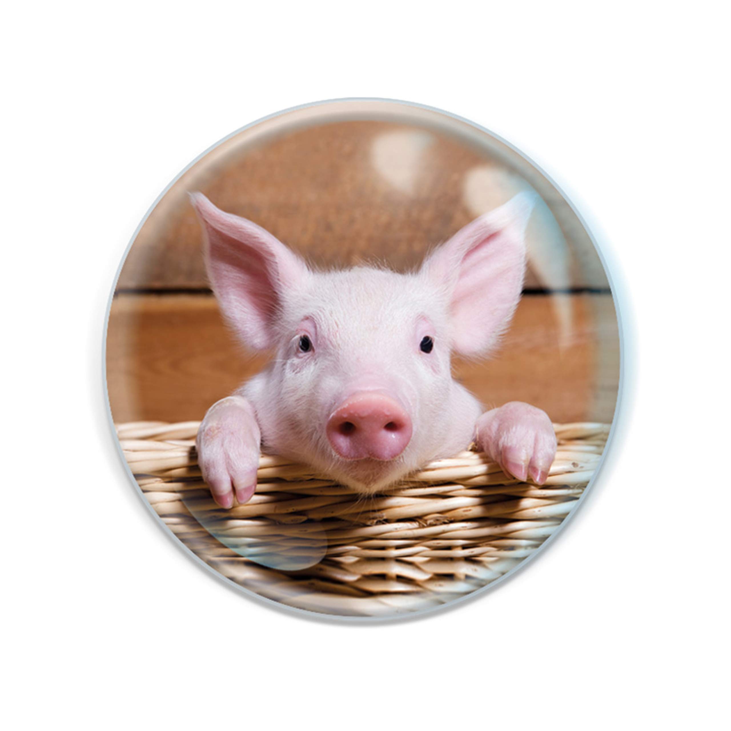 Snapklik.com : Magnidome - Pig From Deluxebase Round Crystal Glass ...