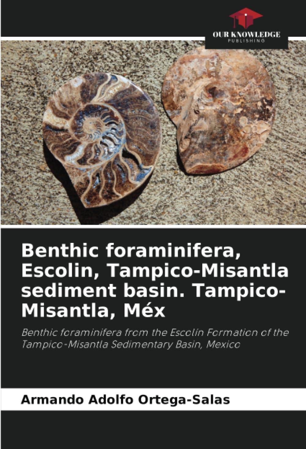 Benthic Foraminifera Escolin Tampico Misantla Sediment Basin Tampico ...