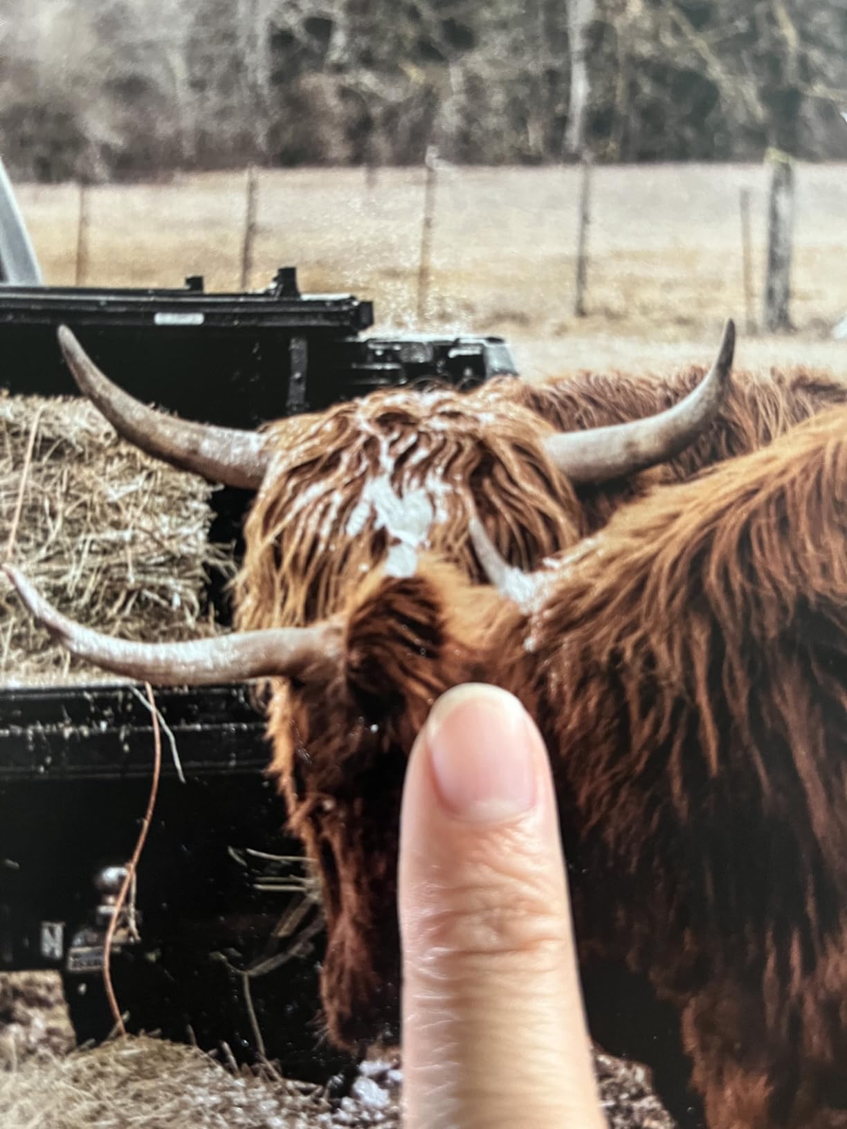 $5/mo - Finance Homestead Living Magazine, Annual Edition 001 ...