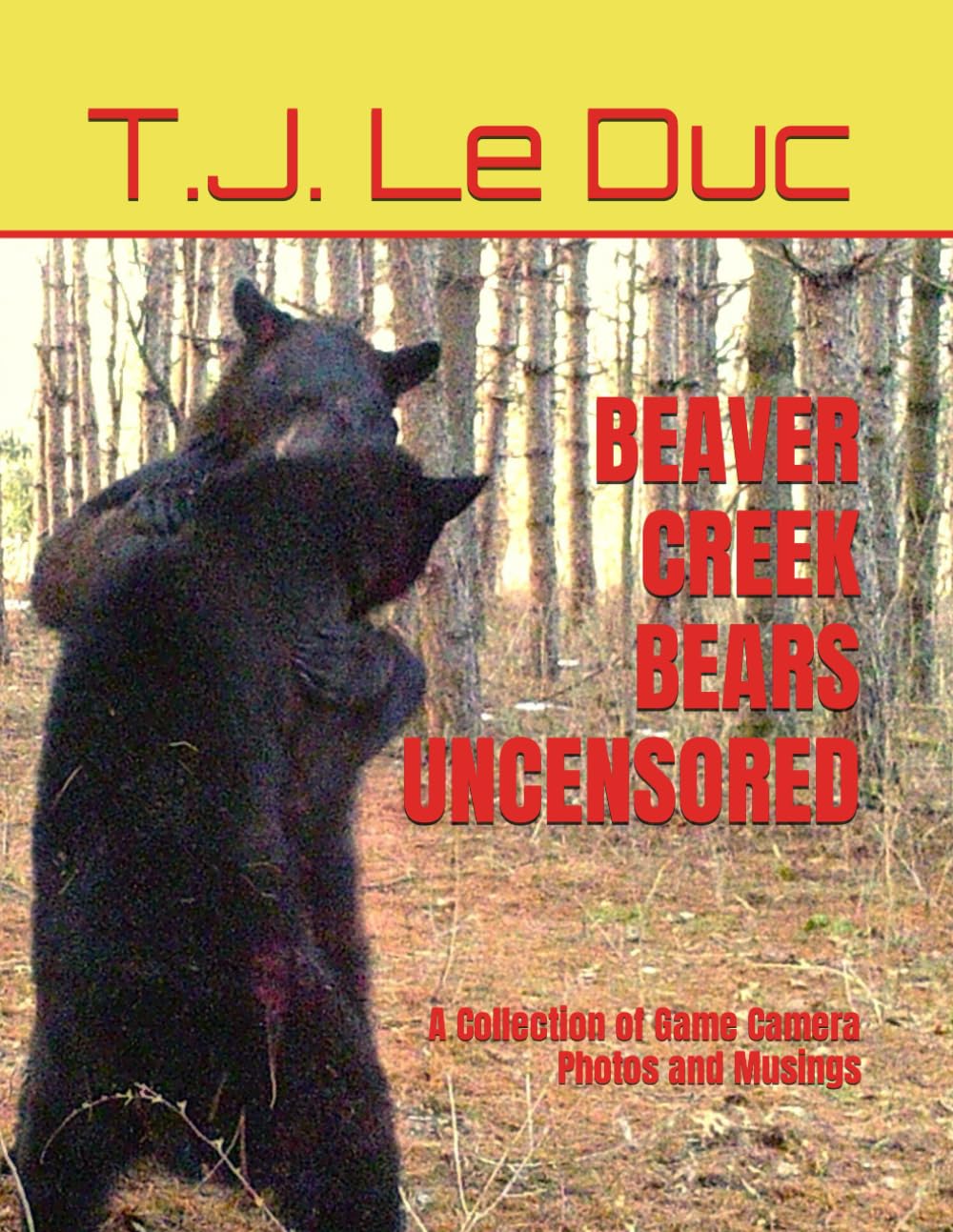 Beaver Creek Bears Uncensored: A Collection of Game Camera Photos and ...