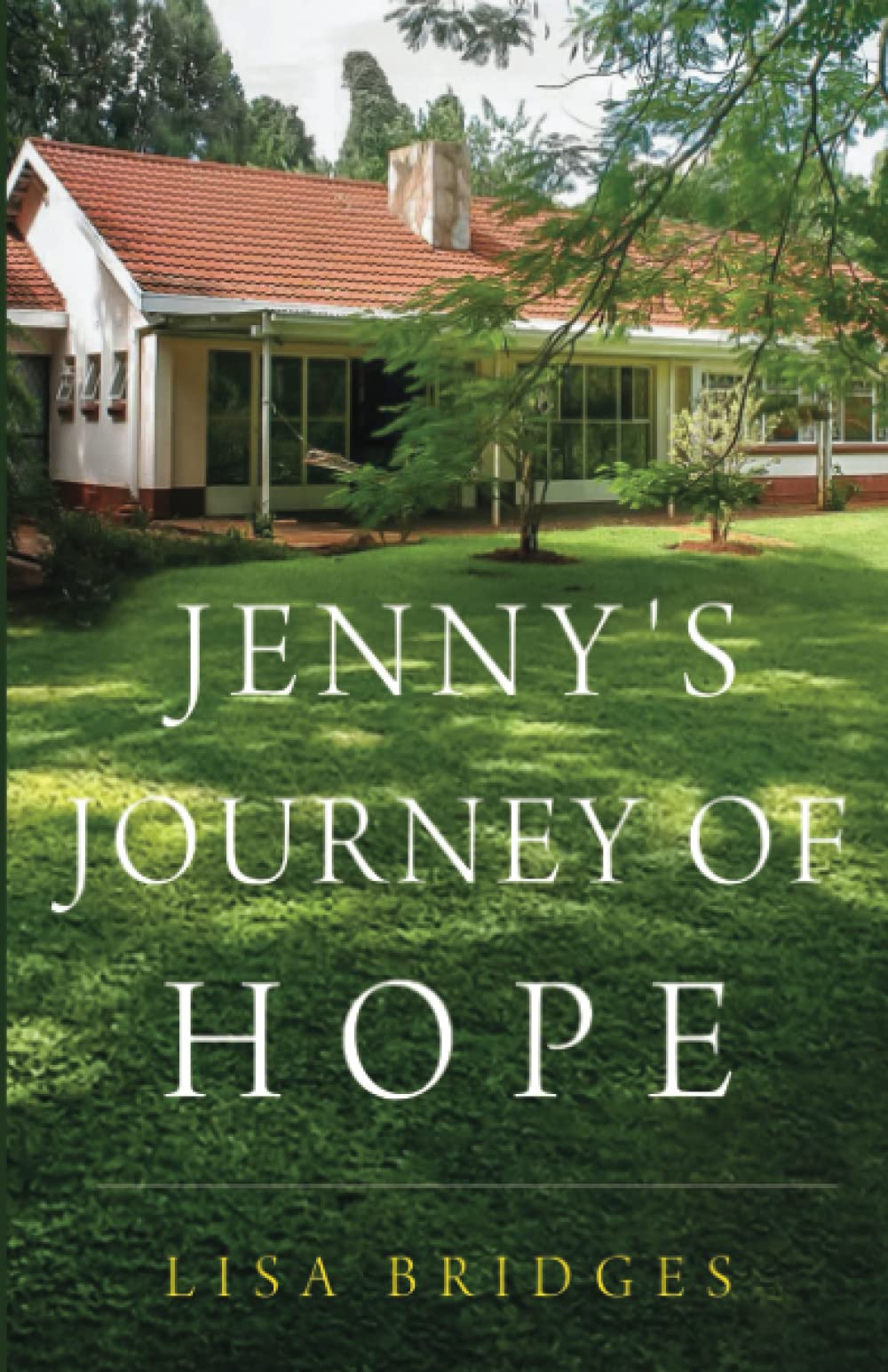 Jenny's Journey of Hope: Bridges, Lisa: 9781800748361: Amazon.com: Books
