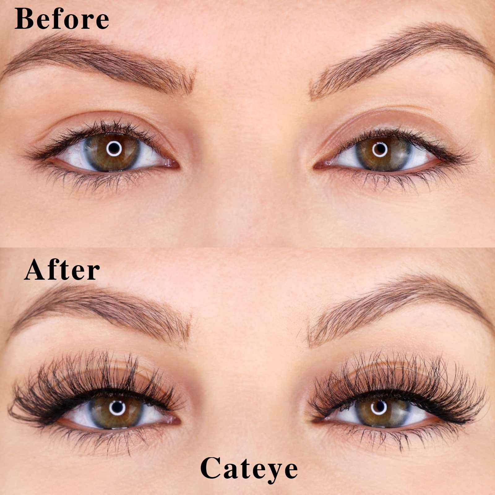 Taylor Robillard's Instagram, Twitter & Facebook on IDCrawl