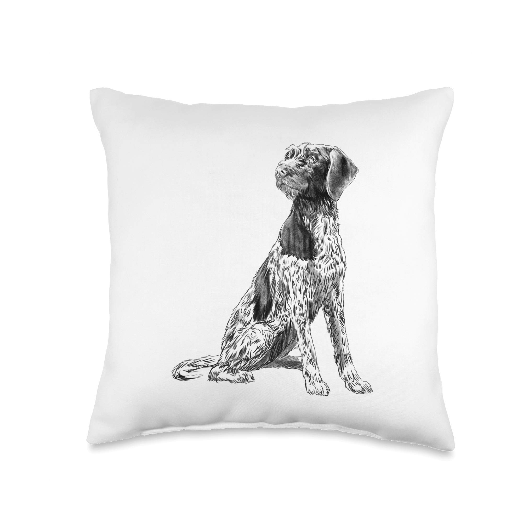 Black German Wirehaired Pointer