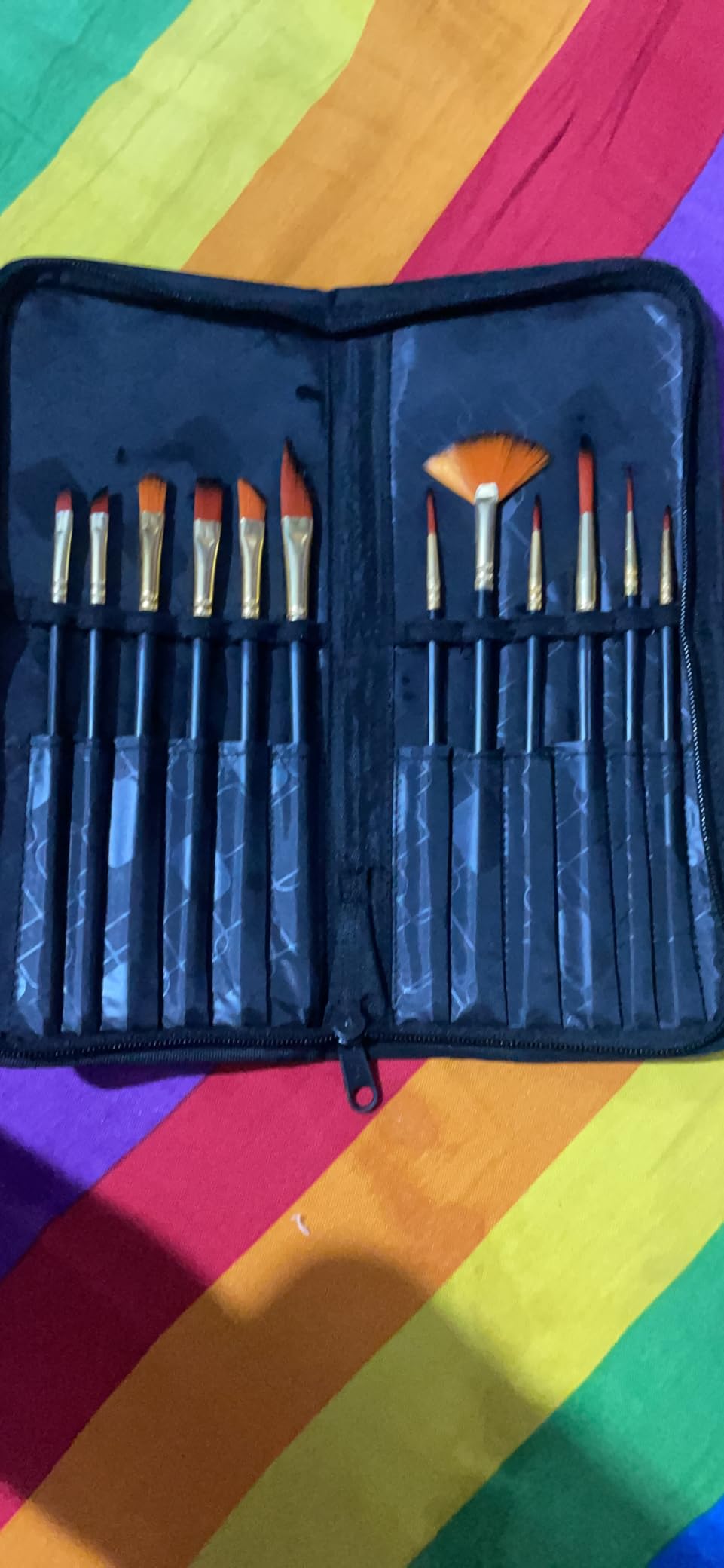 Beauty HUB DECOR 12 Pcs Paint Brush Set Includes Pop-up Carrying Case ...