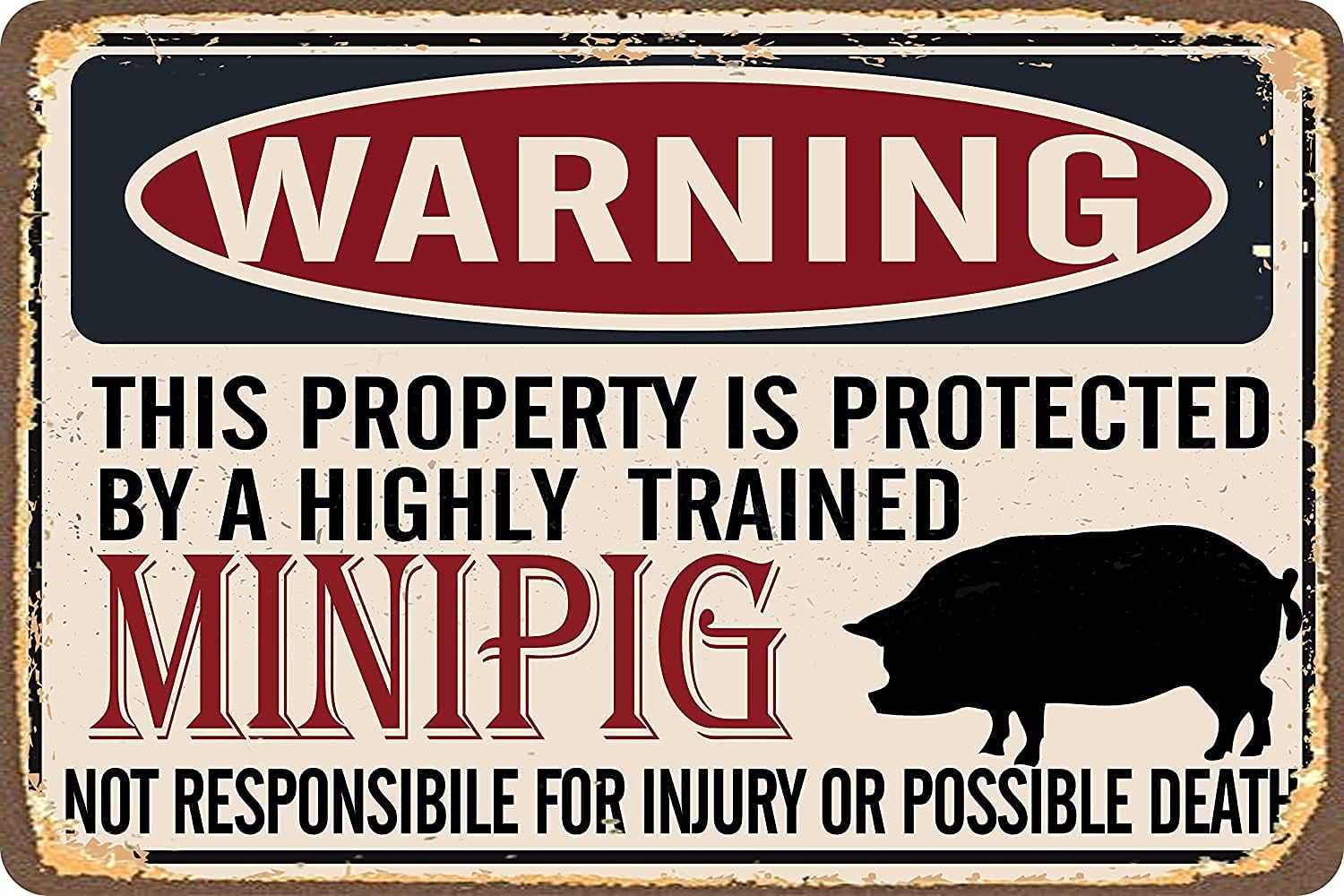 Amazon.com : Attack Pig Sign : Patio, Lawn & Garden