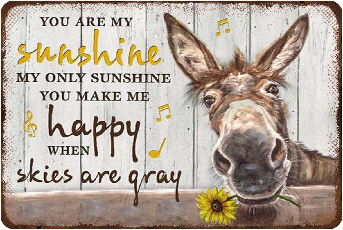 Amazon.com: Retro Metal Tin Sign Donkey Wall Art You are My Sunshine ...