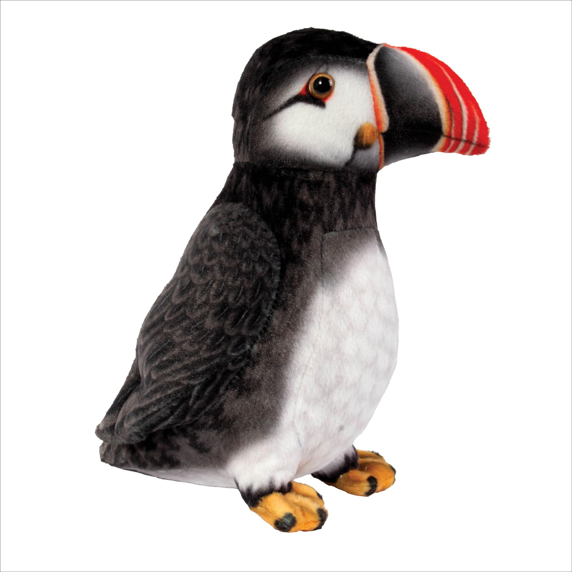 Realistic Puffin Atlantic Puffin…I Finally Finished This Piece. I've