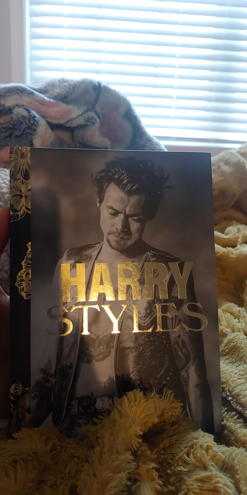Harry Styles - Kindle edition by Bilmes, Alex. Arts & Photography ...