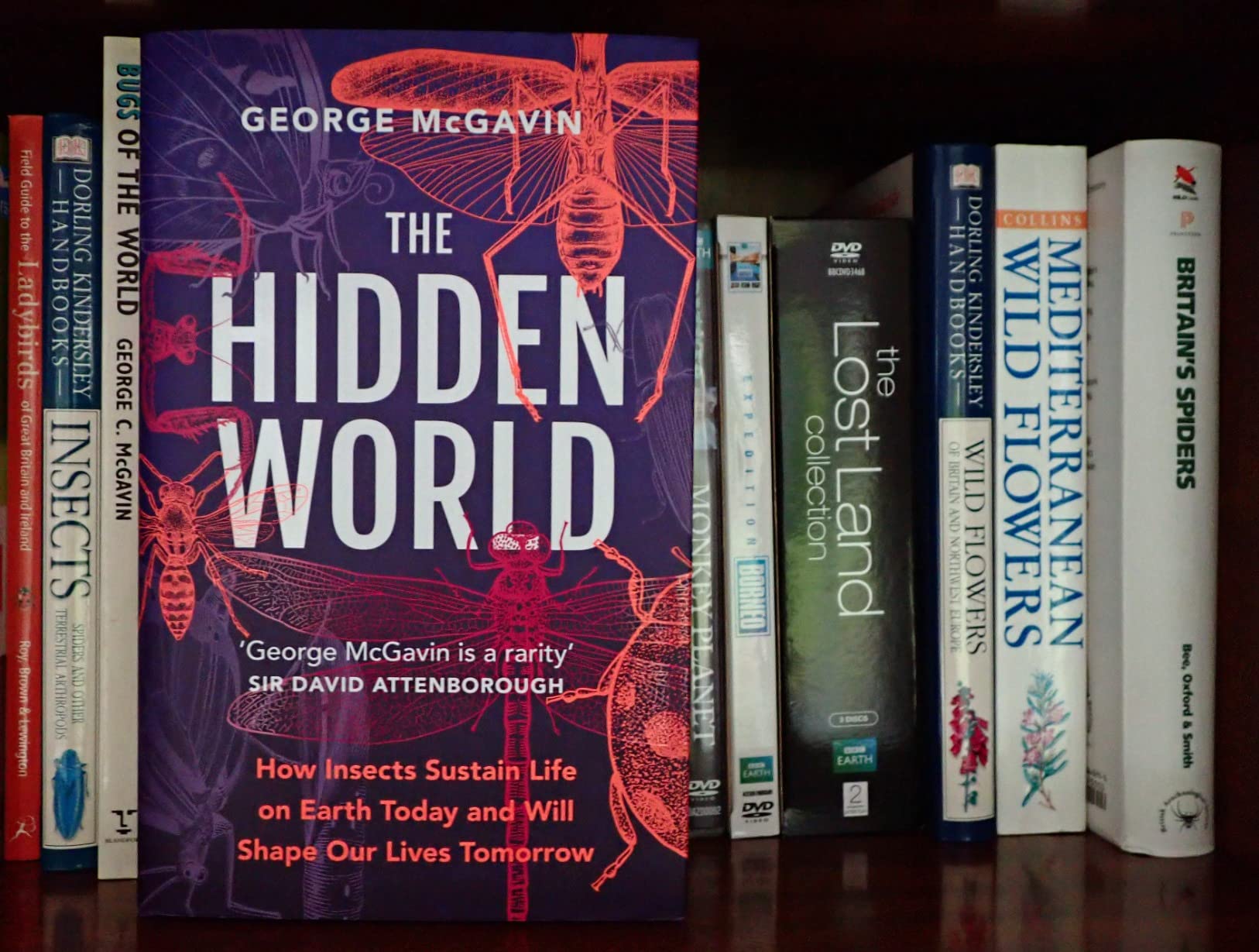 The Hidden World: How Insects Sustain Life on Earth Today and Will ...