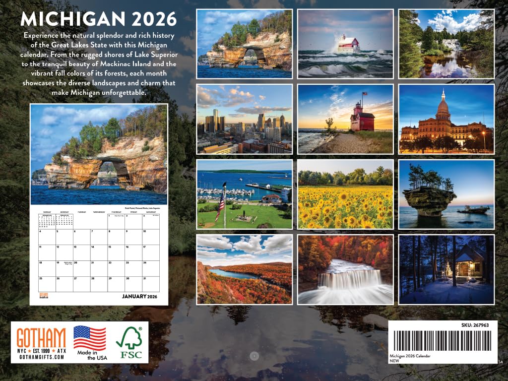 Lake Michigan Calendar Gastropod New Brachiopod Shell Fossils