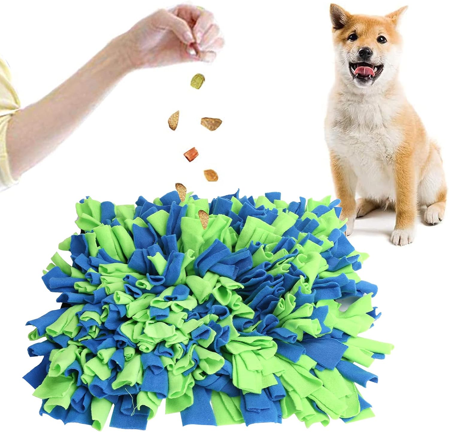 How To Train Your Dog To Be A Sniffer Dog