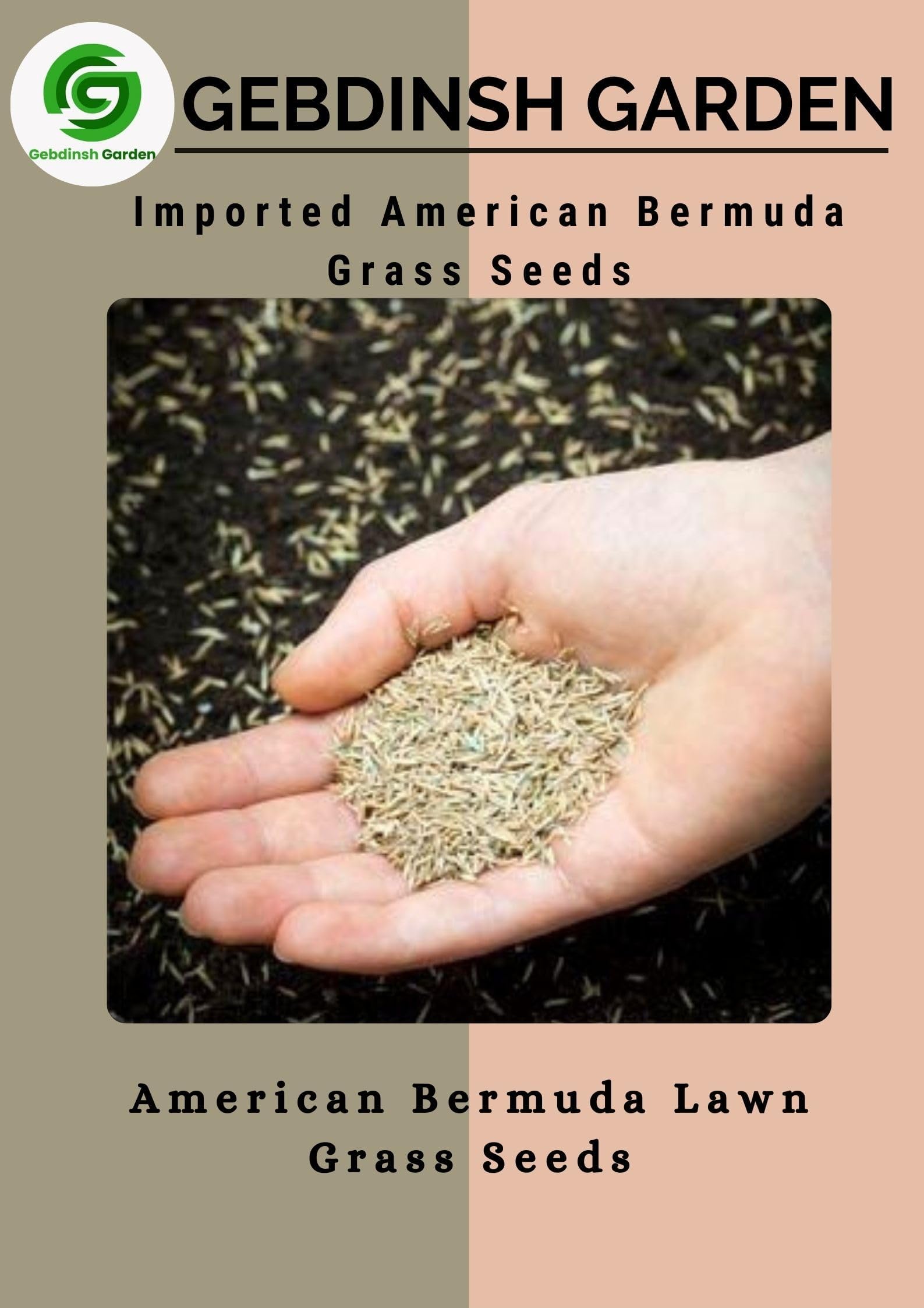 Farm Seeds Bermuda Grass - 1 Kg Seed : Amazon.in: Garden & Outdoors