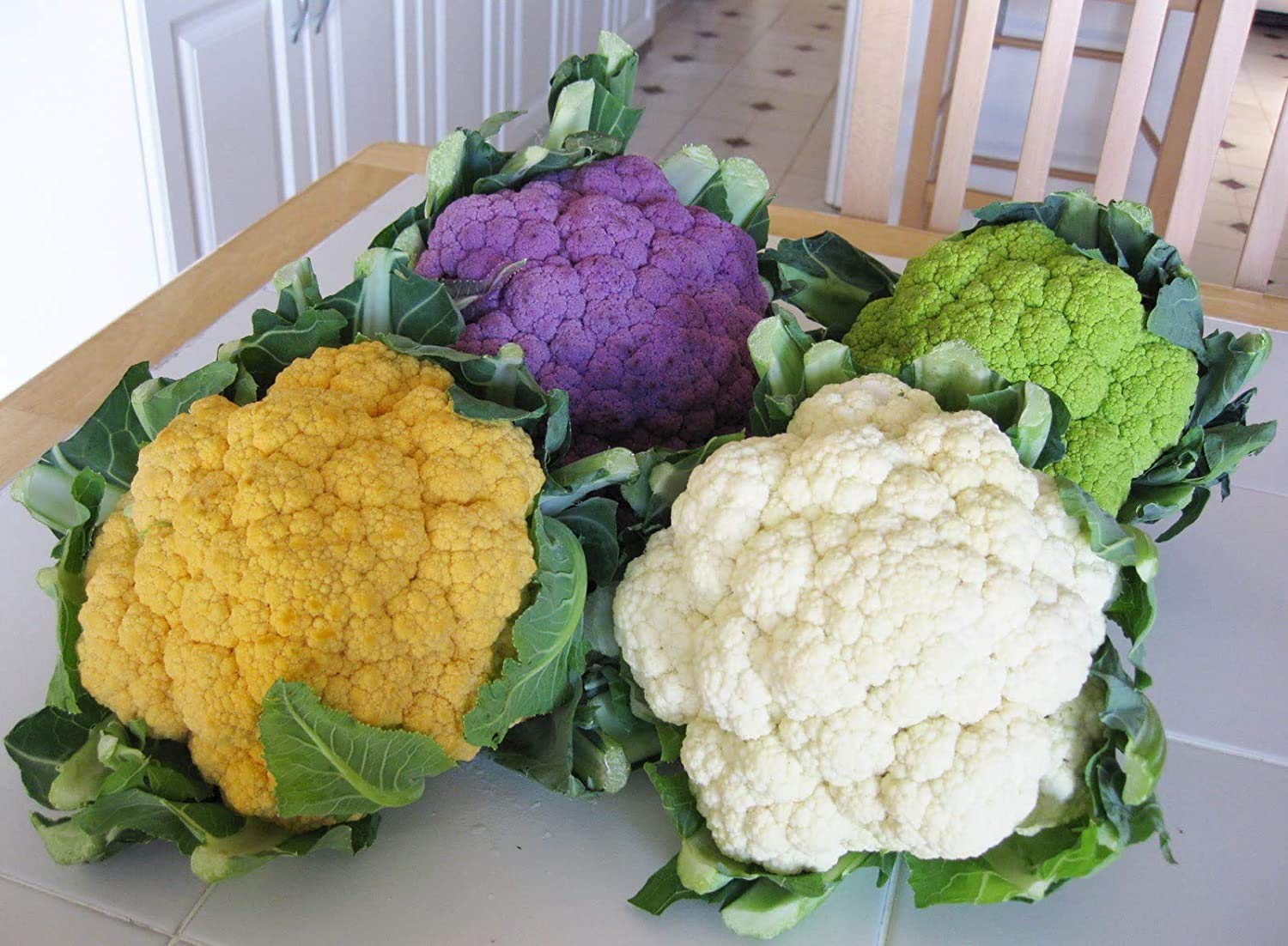 Golden Hills Farm® (AVG 500-2000) seeds Hybrid Cauliflower (Mixed ...