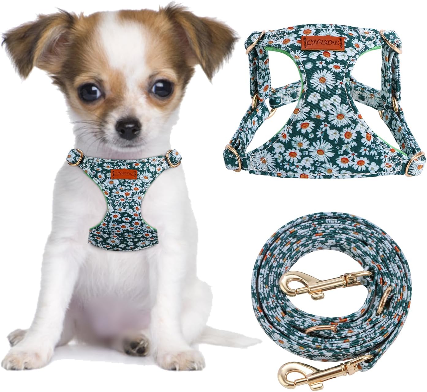 Amazon.com : CHEDE Puppy Dog Harness and Multifunction Dog Leash Set-6 ...