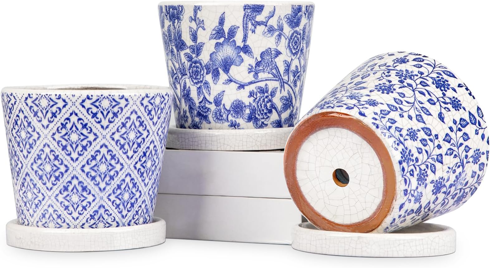 Amazon.com : Parliky Blue and White Porcelain Small Indoor Succulent ...