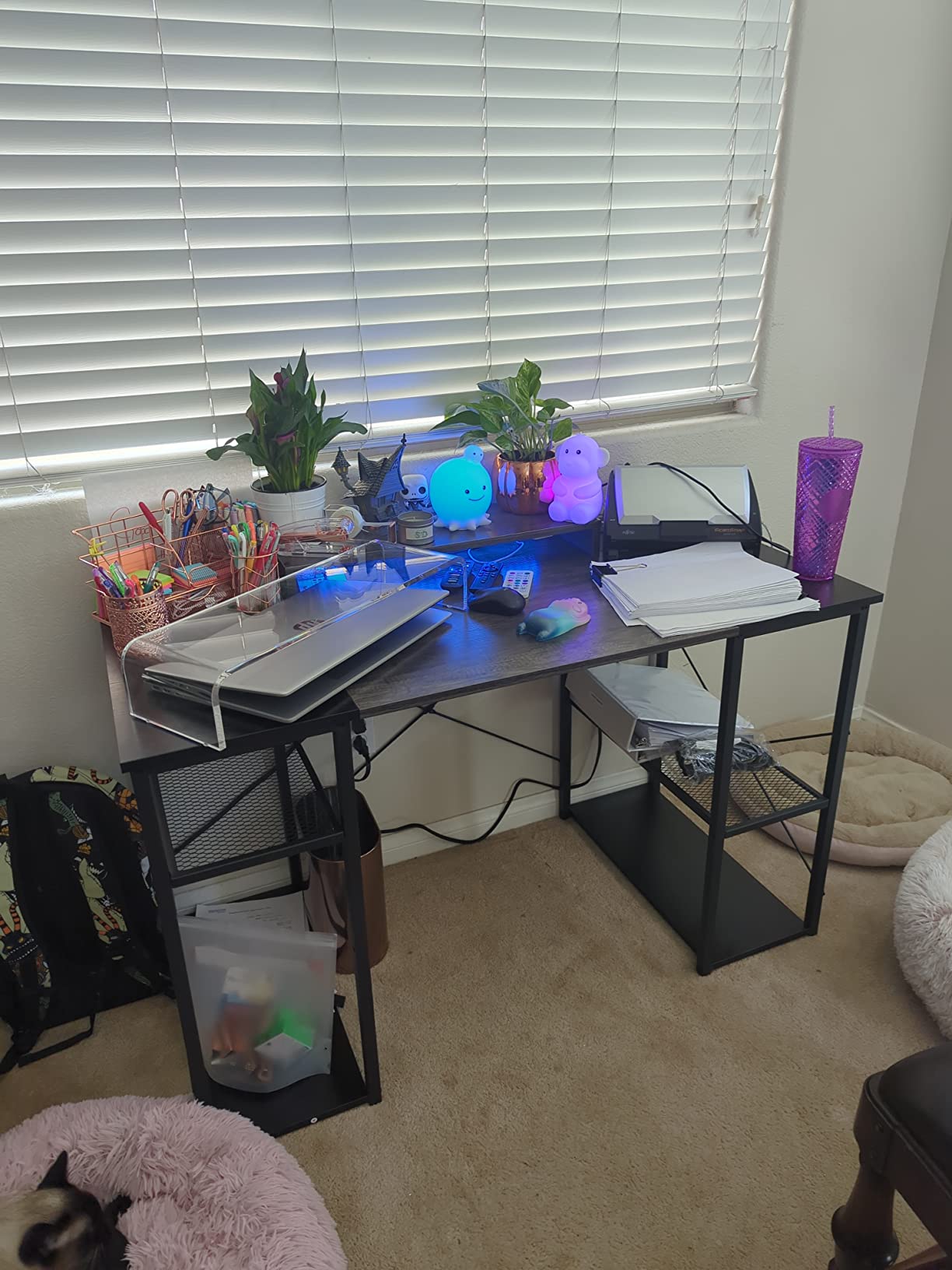 $25/mo - Finance armocity Computer Desk with LED Lights, 48 Inch Desk ...