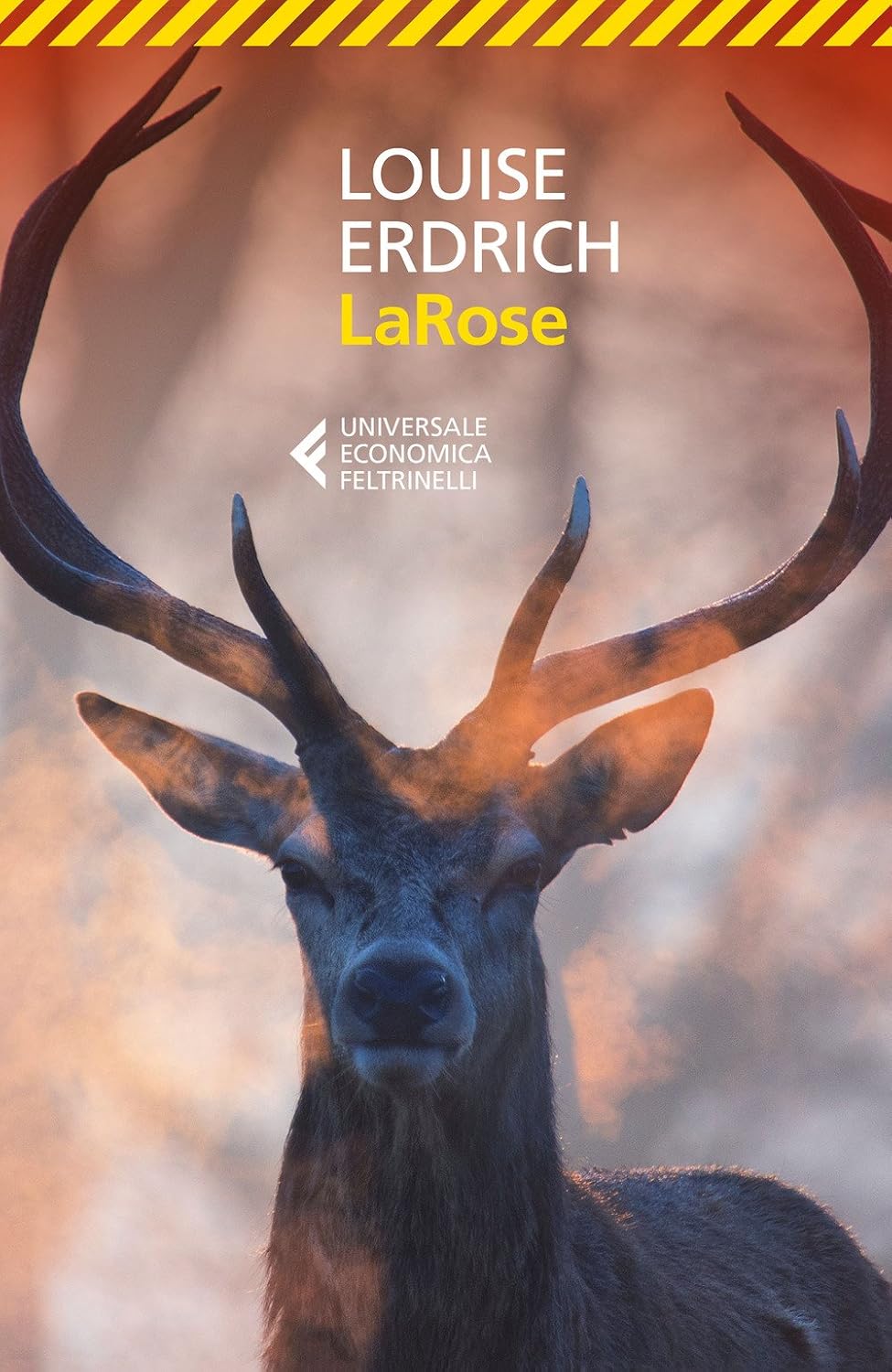 Amazon.com: LOUISE ERDRICH, LAROSE - LOUIS: 9788807890734: Erdrich ...