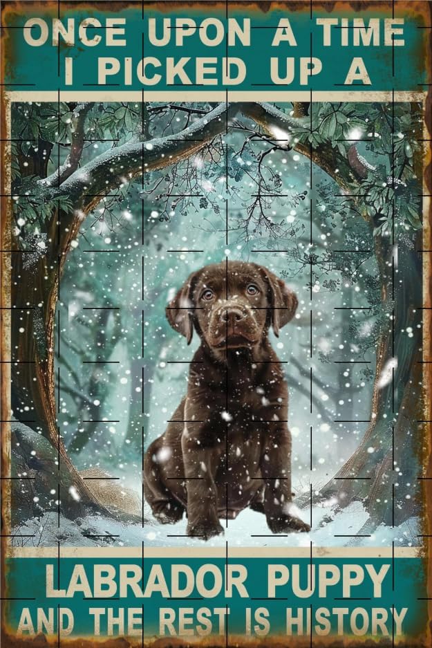 Amazon.com : Once Upon A Time I Picked Up A Labrador Puppy And The Rest ...
